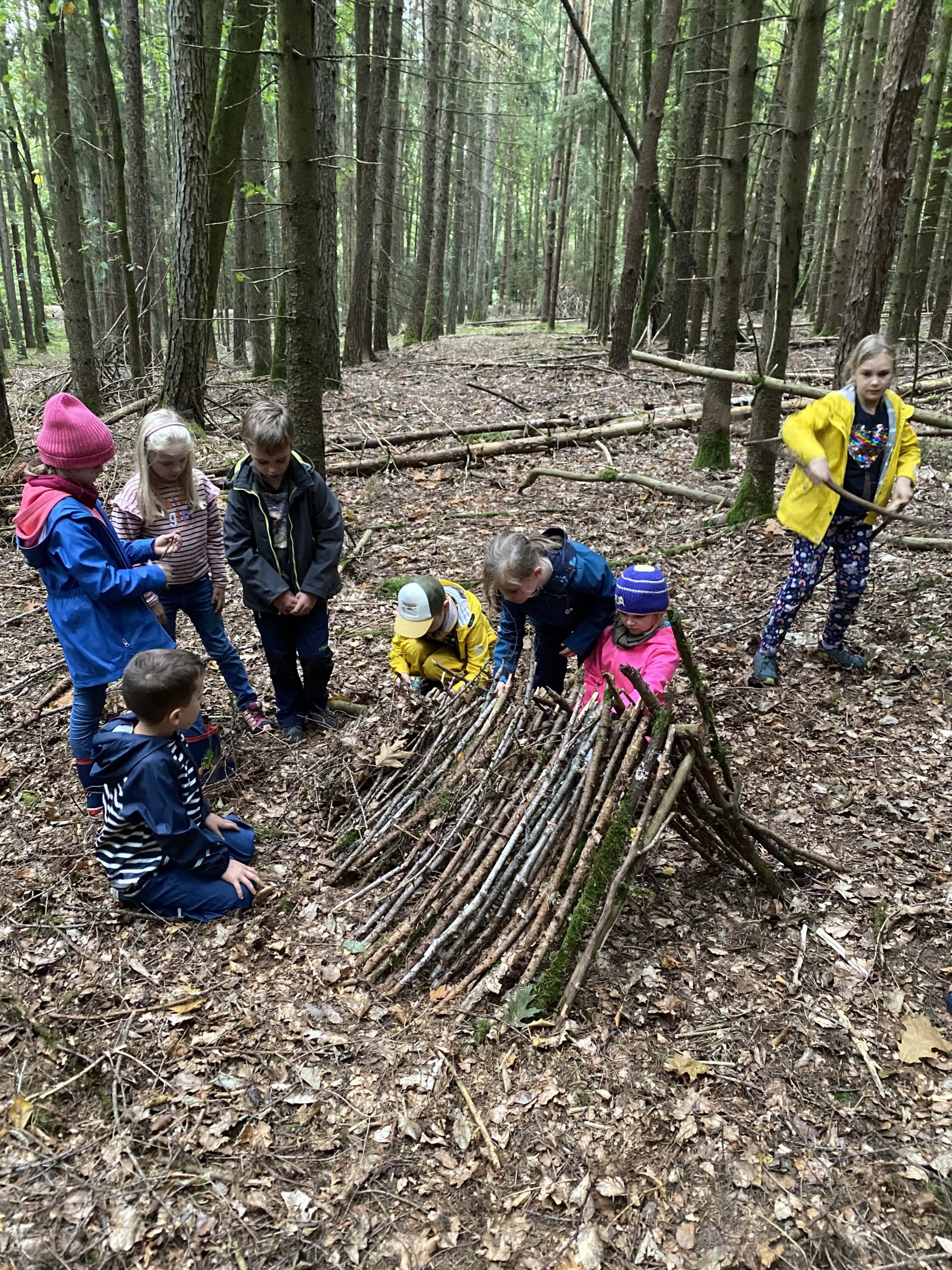 SV Buckenhofen e.V. » Wilde Kinder im Wald